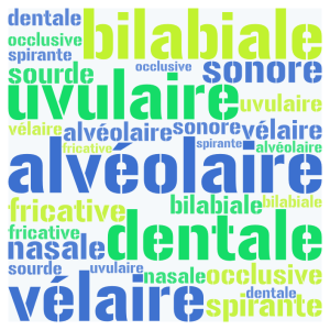 Les types de consonnes
