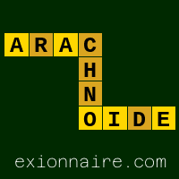 Définition ARACHNOÏDE