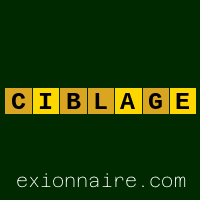 Définition Ciblage