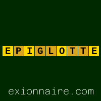 Définition ÉPIGLOTTE