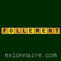 Définition FOLLEMENT