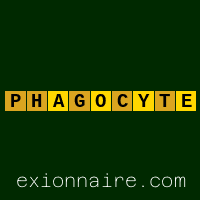 Définition PHAGOCYTE