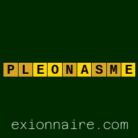 Définition PLÉONASME