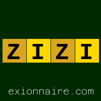 Définition ZIZI
