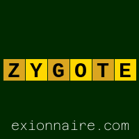 Définition ZYGOTE